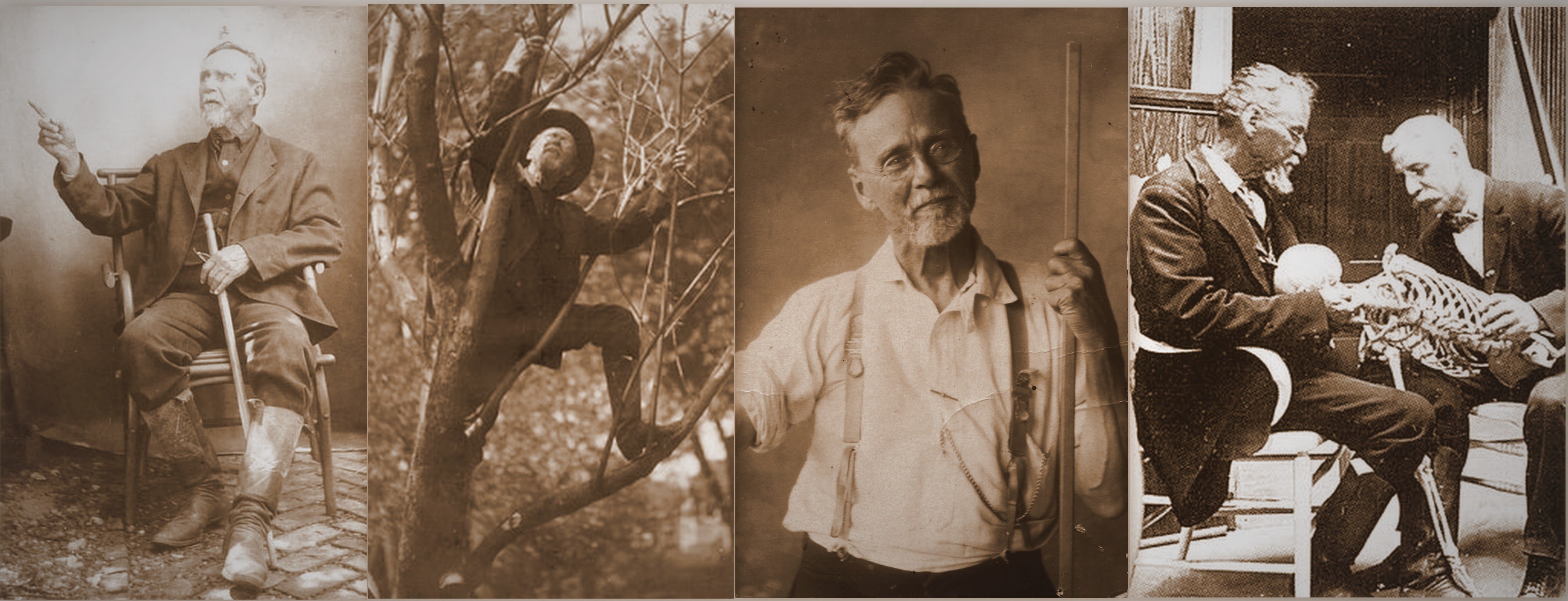 La philosophie d'Andrew Taylor Still